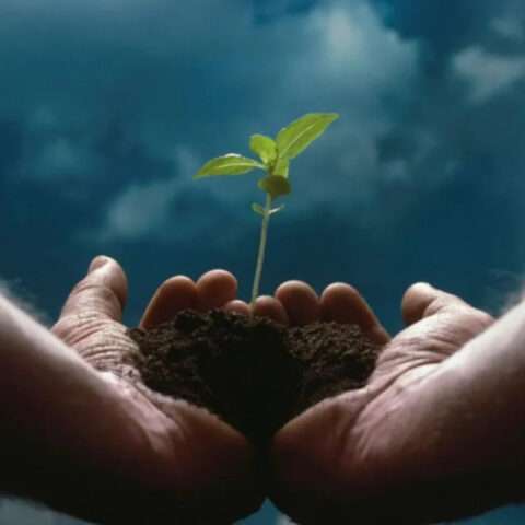 Home Ramadan | Nour Al-Sham Foundation